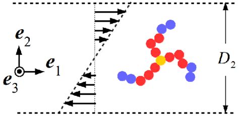 Schematic Illustration Of The Simulation Setup Demonstrating The Shear Download Scientific