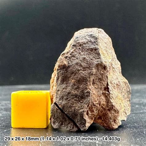 Nwa Meteorite Genuine Common Chondrite Rare Space Rock With Coa Etsy