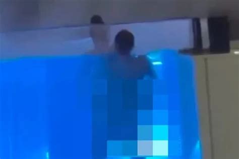 Couple Have Sex In Pool In Front Of Horrified Public As Police Want To Name And Shame The Mirror