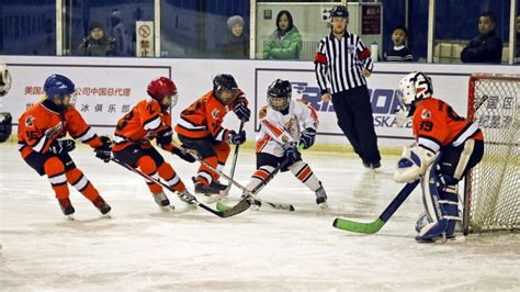 The Difference Between NHL And AHL You May Not Know Bryo Ca