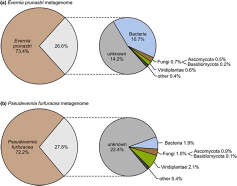 Taxonomic Classification And Abundance Estimation Of The Quality Download Scientific Diagram