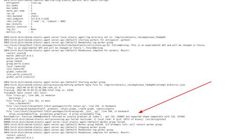 I Have Problem When Training Function Addmmbackward Returned An