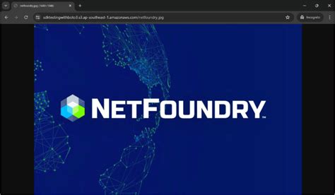 Solution Guide Securing Aws Zero Trust Access To S3 Buckets With Python Vpc And Ziti Sdk