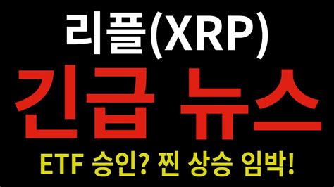 리플xrp 긴급 뉴스 Etf 승인 찐 상승 임박 Youtube