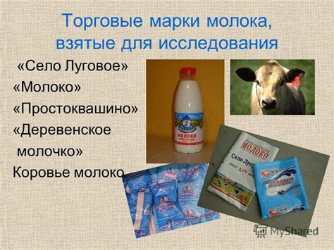 Презентация на тему: "Молоко и его тайны Выполнила: Афанасьева Мария ...