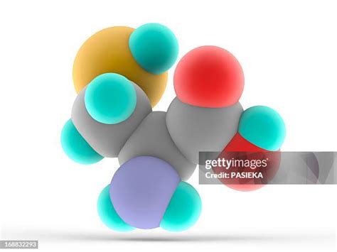 23 Cysteine Stock Photos, High-Res Pictures, and Images - Getty Images