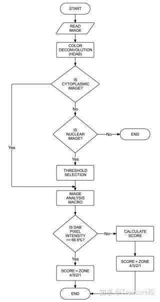 Imagej灰度值量化分析 实用技巧——免疫组化分析 定量分析篇 免疫组化定量分析imagej Csdn博客