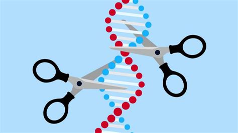 Crispr Enters Its First Human Clinical Trials Lifeboat News The Blog