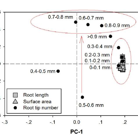 Principle Component Pc Analysis On Fine Root Morphological Parameters Download Scientific
