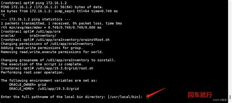 Oracle Rac 19c集群搭建指南：实现高可用、高性能的数据库集群（超详细）oracle高可用集群部署 Csdn博客