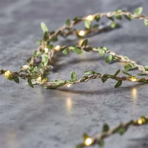 Lichtslinger Leaf Twine 20 Leds 1 90 Meter Handig Cadeau