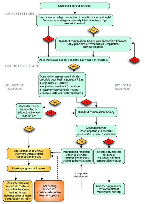 Wound Care Treatment Algorithm At Robert Connors Blog