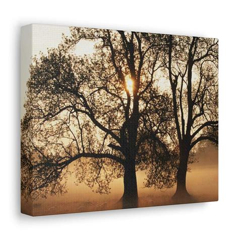 Canvas Tree Silhouette Winter Tree Image Sillhouette Tree Mindfulness
