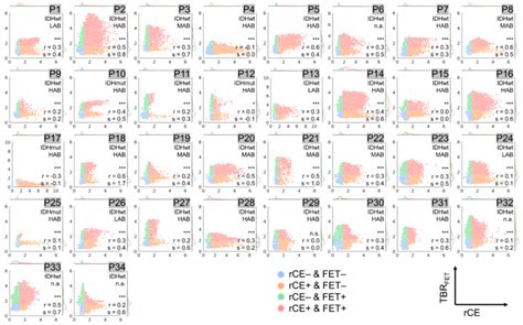 Voxel Wise Correlation Of [¹⁸f]fet Tumor To Background Ratios Tbrfet Download Scientific