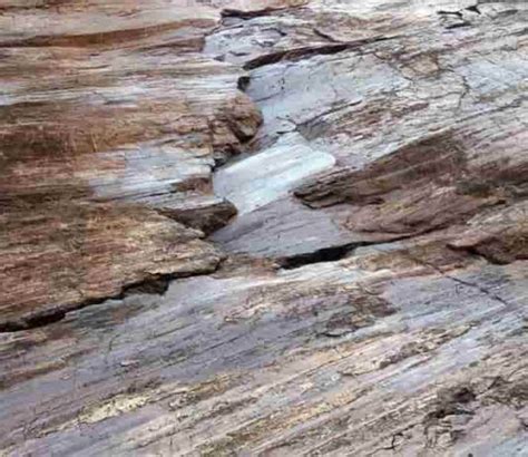 Earthquake Archives Geology Page