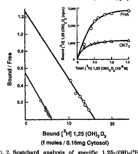 Figure 2 From Vitamin D Receptor Expression In Human Lymphocytes Semantic Scholar