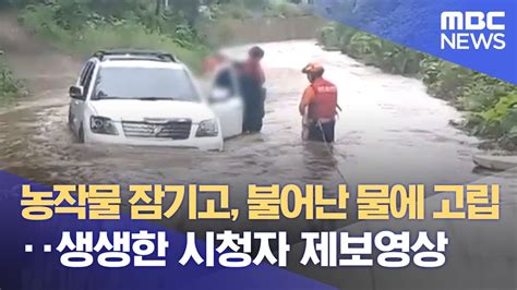 농작물 잠기고 불어난 물에 고립‥생생한 시청자 제보영상 20230714뉴스데스크mbc Youtube