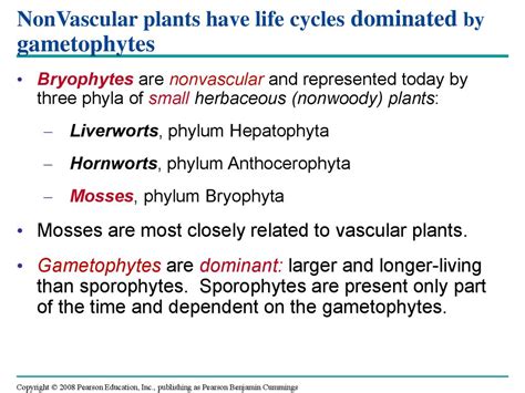 Plant Diversity I How Plants Colonized Land Online Presentation