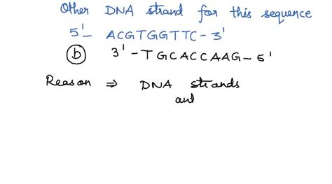 Solved Below Is A Template Strand Of Dna 3 Taccgatccatc 5 From