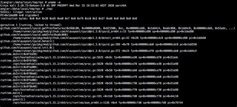 0269版本linuxarm64clienttargz在aarch64上运行报illegal Instruction