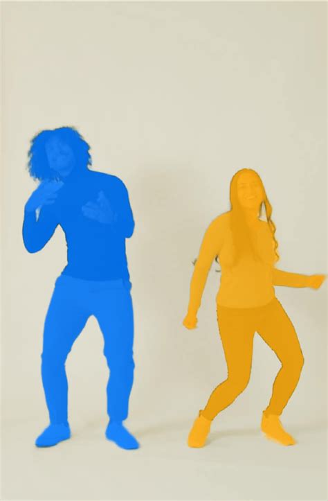 Body Instance Segmentation Snap For Developers