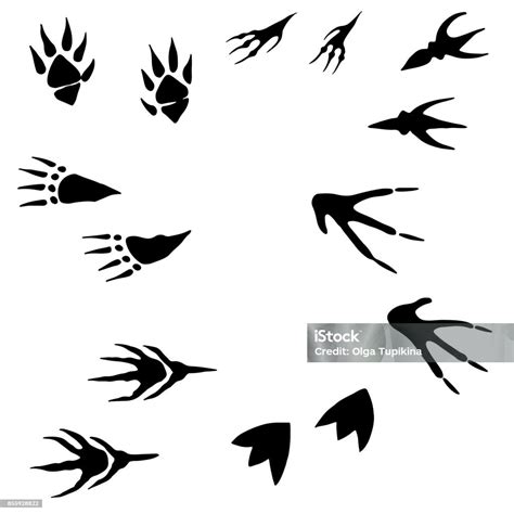 손 그리기 괴물 만화 스타일의 발의 인쇄물의 컬렉션 블랙 트랙 고립 된 흰색 배경의 실루엣 갈고리 발톱에 대한 스톡 벡터 아트