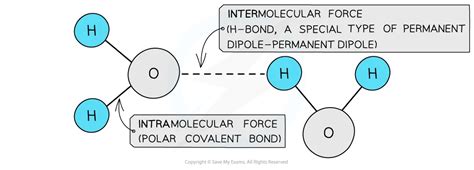 Intermolecular Forces SL IB Chemistry Revision Notes 2025