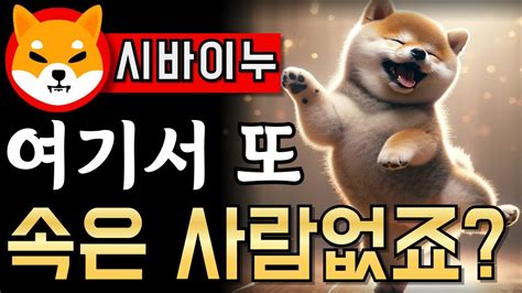 🔥시바이누🔥 여기서 또 속은 사람은 바보~ Youtube