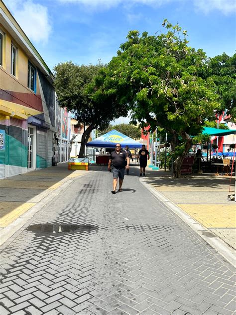 Tur Cos Ta Cla Pa “start” Carnaval 70 Ea News Aruba