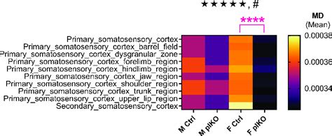 Diffusion Tensor Imaging DTI Analysis In The Somatosensory Cortex Of Download Scientific