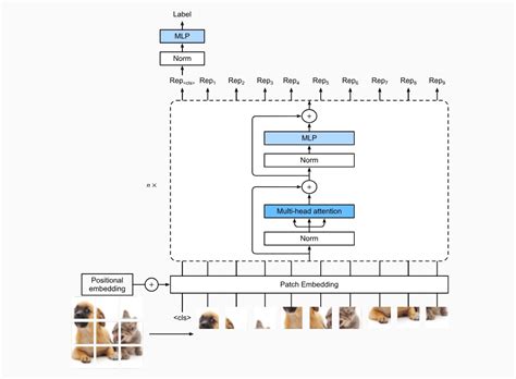 visual transformer vit — documentation image segmentation prompt