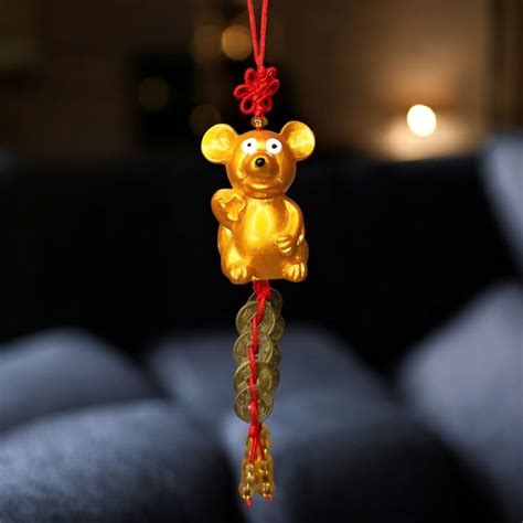 Amuleta Sobolan Cu Desaga Banilor Si 8 Monede Chinezesti Sau Ardei Ideograme Pentru Bunastare