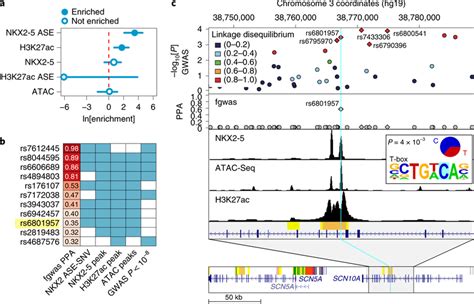 Prioritization Of Candidate Causal Variants At Heart Rate Loci Using Download Scientific
