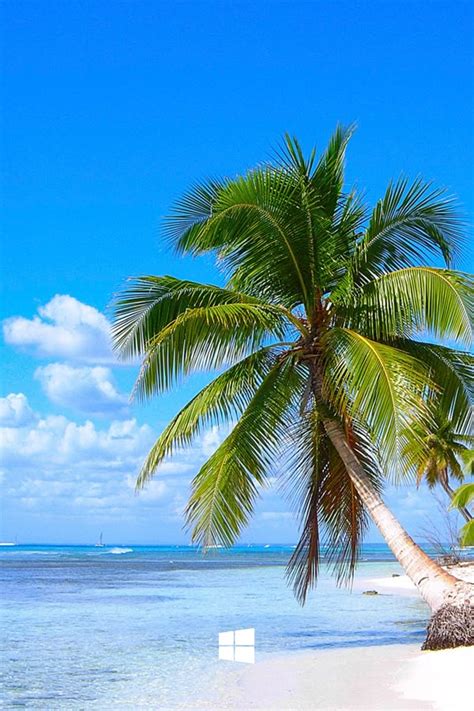 27 Best Images About Windows Themes On Pinterest Milky Way Trekking