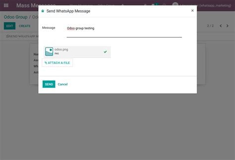 Odoo Whatsapp Marketing Software Pragmatic Pragmatic