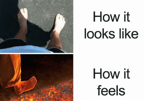 40 Funny Summer Heat Memes For You Sweaty Southerners Frying Eggs On