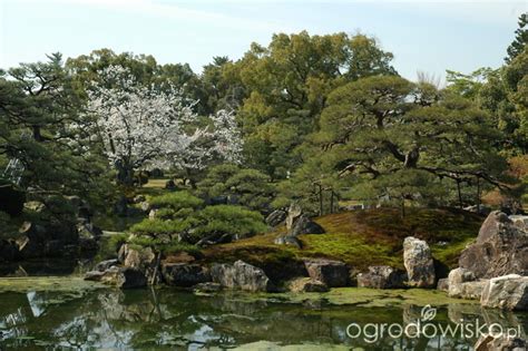 Japonia Ogrody Forum Ogrodnicze Ogrodowisko