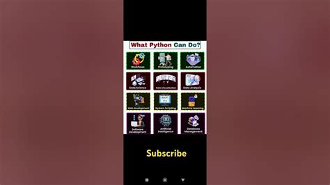 what python does youtube