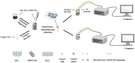 Highly Sensitive Detection Of Hydrogen Peroxide In Cancer Tissue Based On 3d Reduced Graphene
