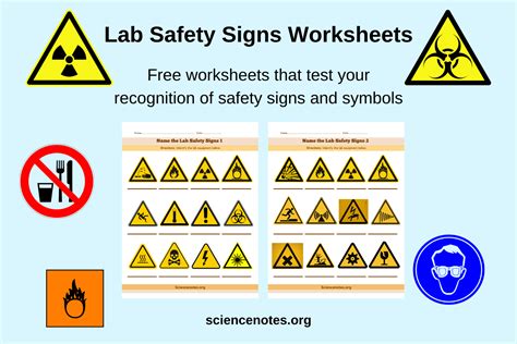 Engaging Lab Safety Activities Teaching Muse Worksheets Library