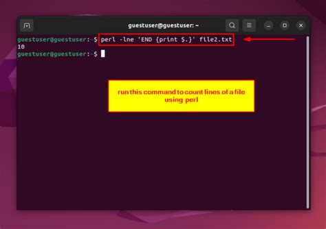 How To Count Lines In File Linux 8 Simple Methods