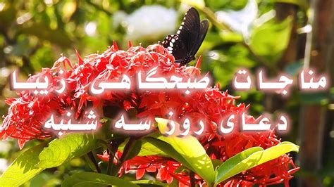 نیایش صبحگاهی با خداوند دعای روز سه شنبه روتین صبحگاهی بعد از خواب