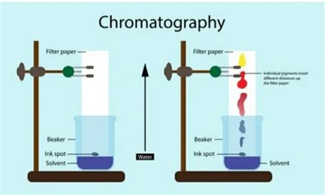 Chromatography Forensics Blog