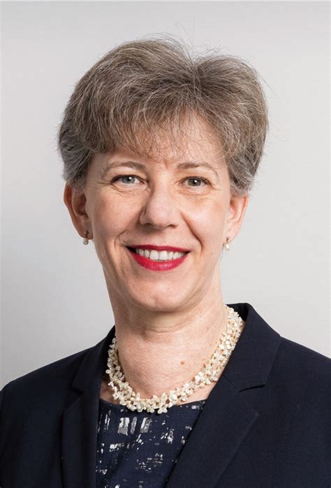 Corporate Structure Sanitas