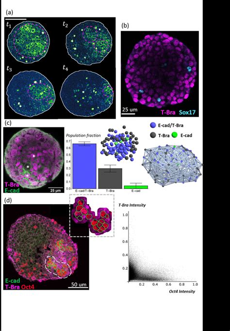 Cad Network Bí Quyết Tối Ưu Hóa Quy Trình Thiết Kế và Sản Xuất