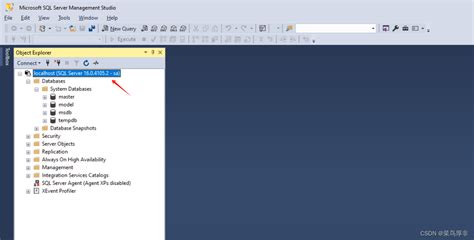 Windows Docker 部署 Sql Serverwindows Docker安装sqlserver Csdn博客