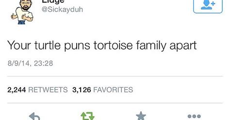 Your Turtle Jokes Imgur