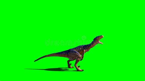 Velociraptor Roaring On Green Screen Stock Video Video Of Chroma