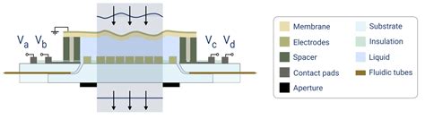 Adaptive Optics Systems Wavefront Correction Real Time Optical
