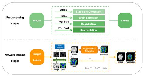 nnsegnext a 3d convolutional network for brain tissue segmentation based on quality evaluation